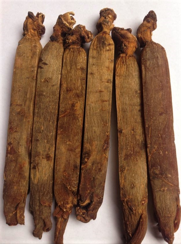 Chinese Ginseng from Jilin-Kirin region of China | Graded Good | Whole ...